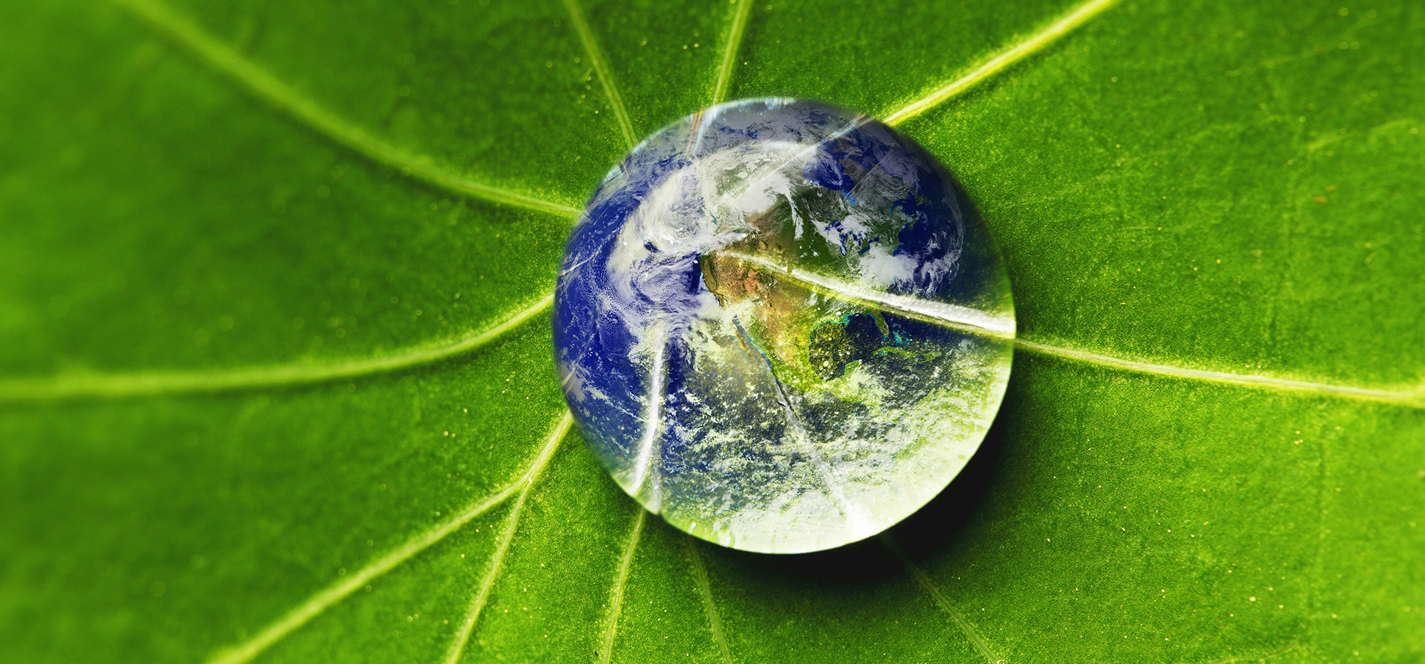 Focus on people and the planet – Magazine Kuraray Europe